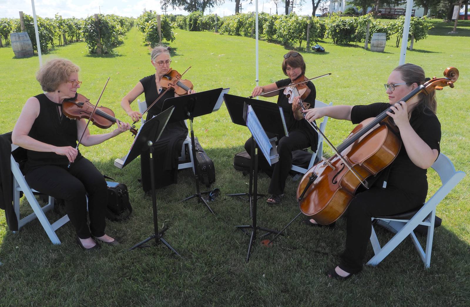 Camerata String Quartet | Profile Portfolio: Camerata String Quartet Item 3