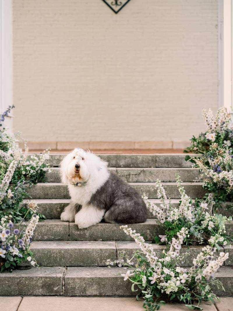 A ROMANTIC + ELEGANT GARDEN PARTY WEDDING DESIGN WITH SOFT BLUE HUES AT ...
