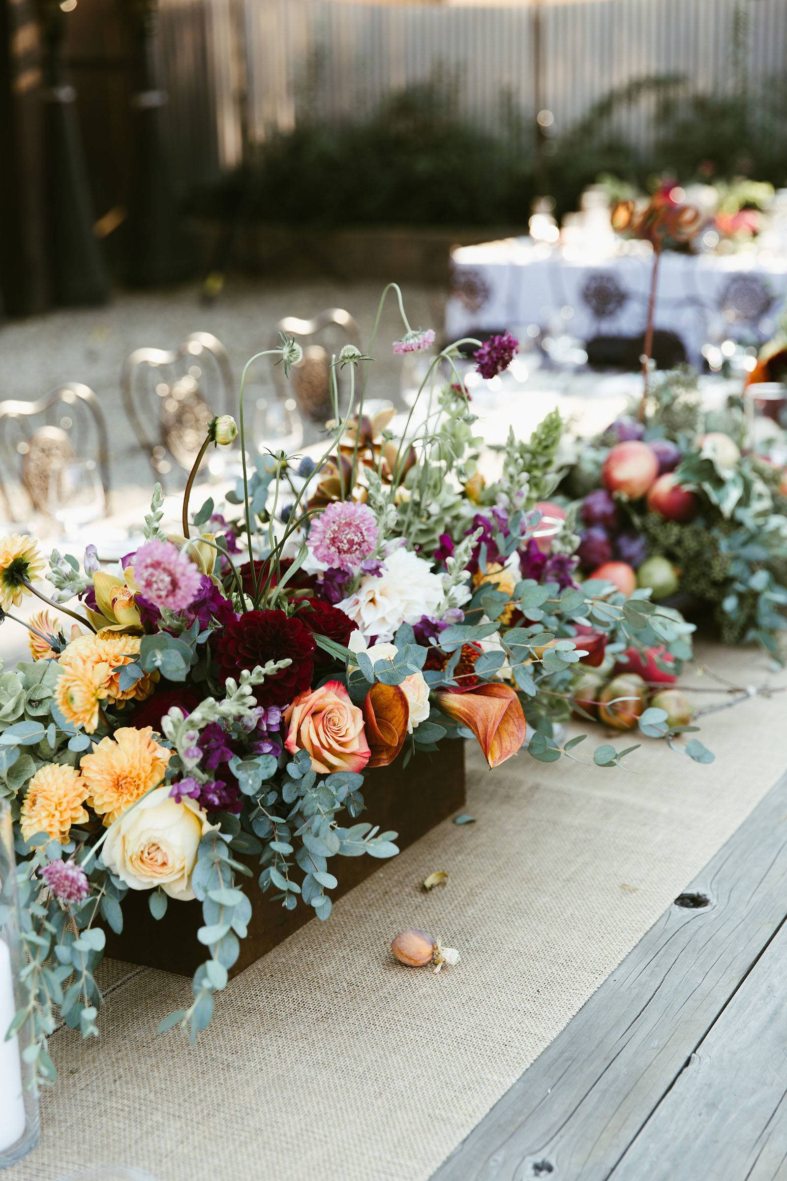 Mindy Rosenberg Design