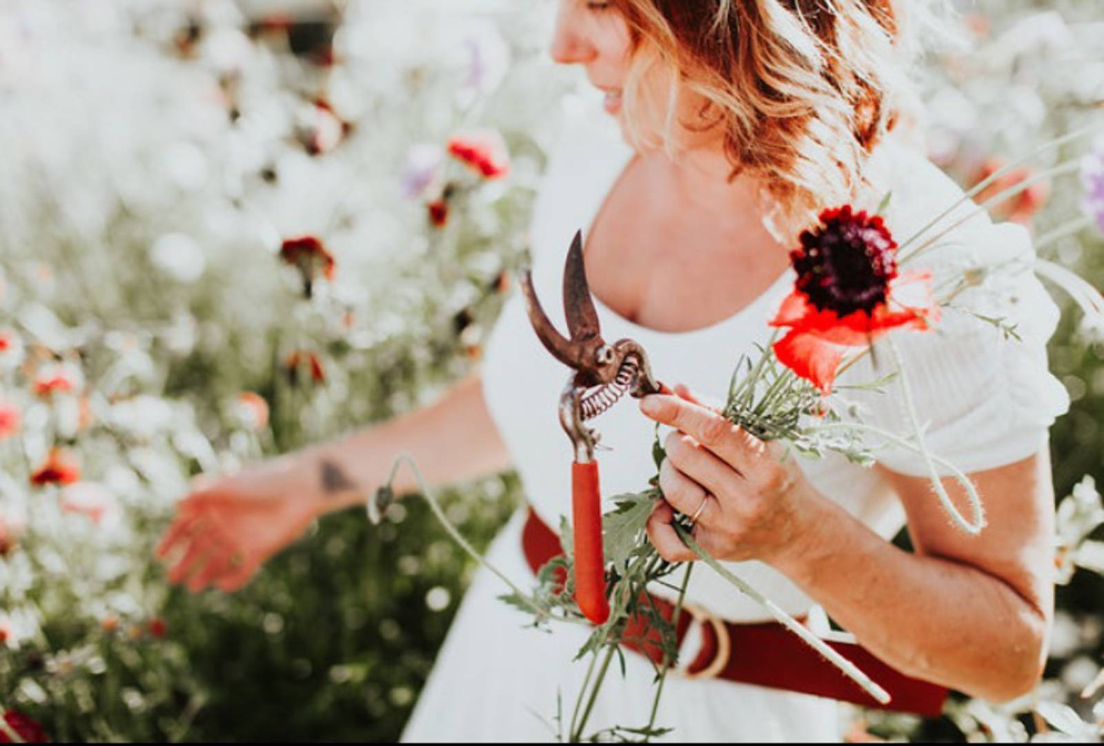 Jennifer Hix | The Queens Bees | California Interview