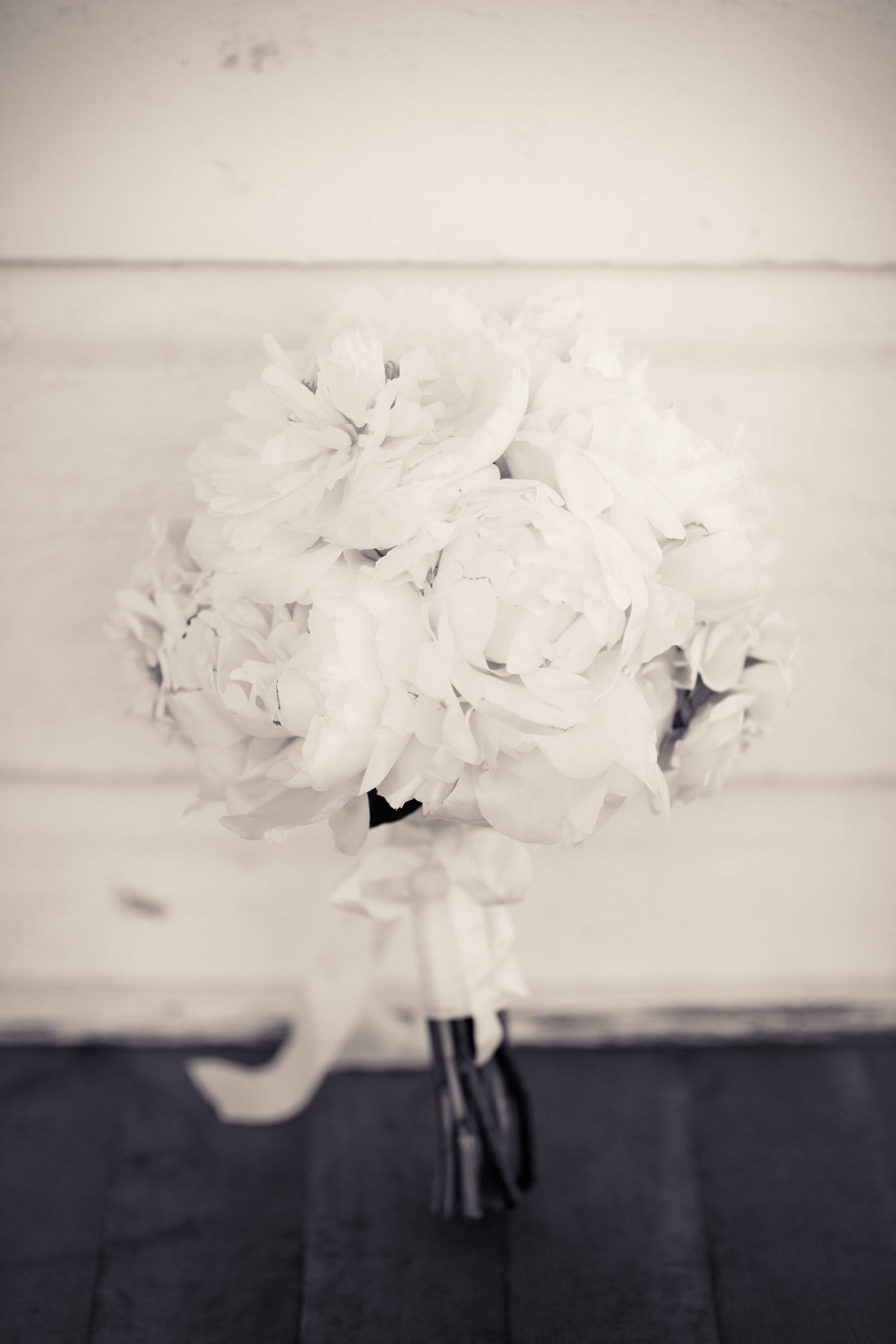 Jennifer Hix | The Queens Bees | California Interview