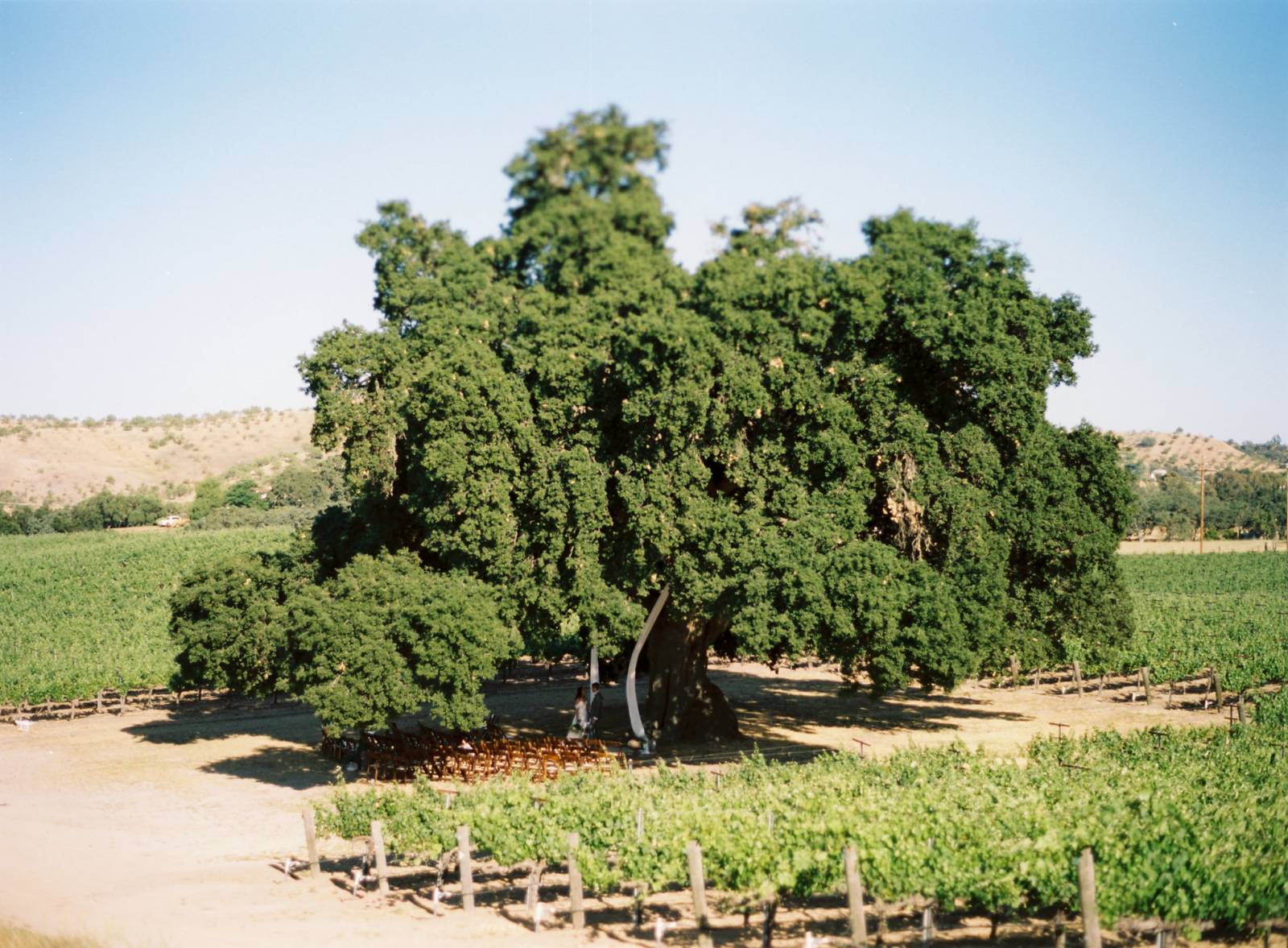 Vintage Ranch Makeover on NETFLIX Show 'Stay Here' | Paso Robles