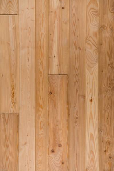 Species | MN Timber & Millwork | Northern Minnesota